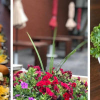 Travelers Inn Restaurant Menu (Full Menu Update 2026)
